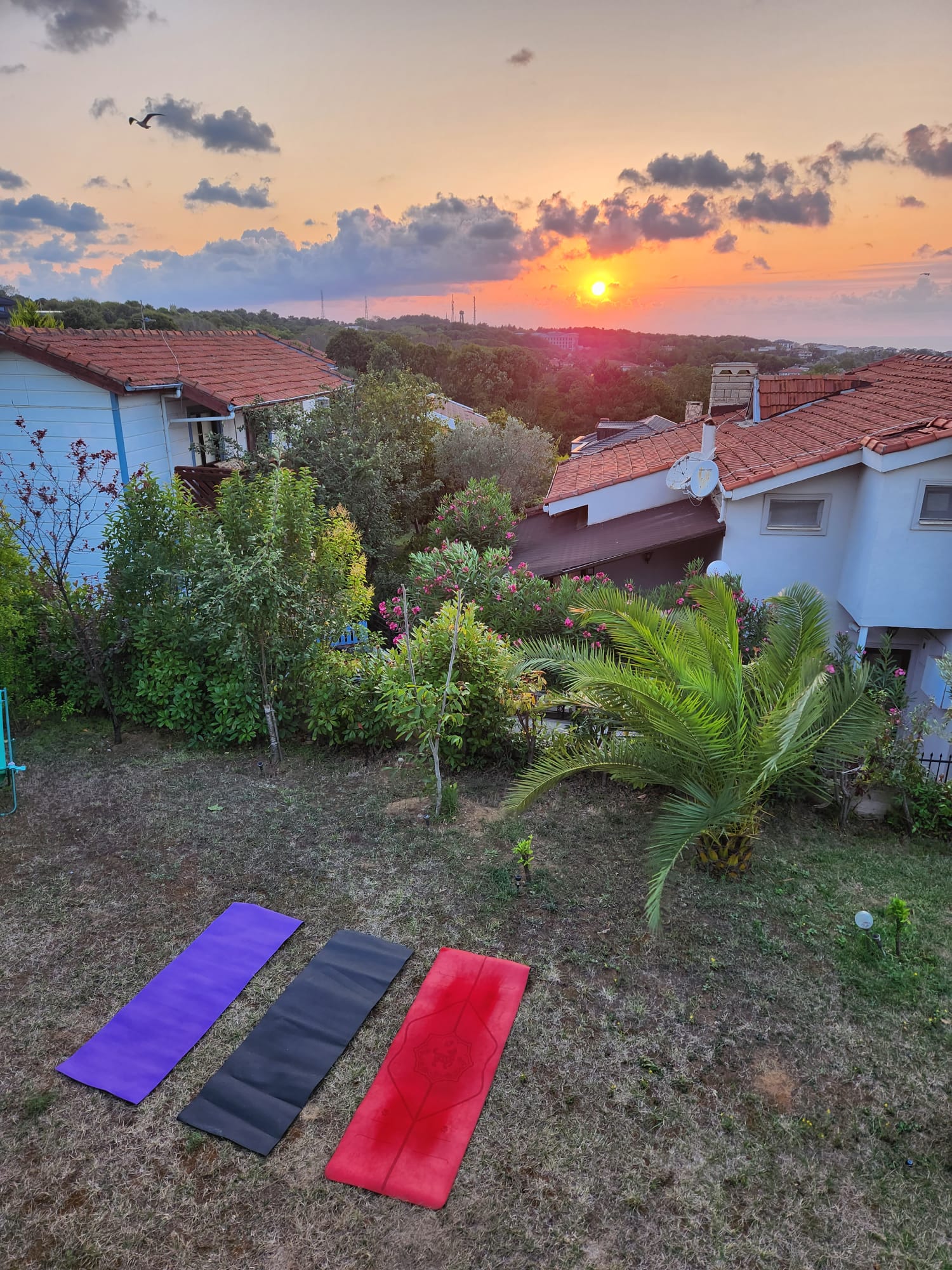 Stüdyolarımız | Yogini Fakiha